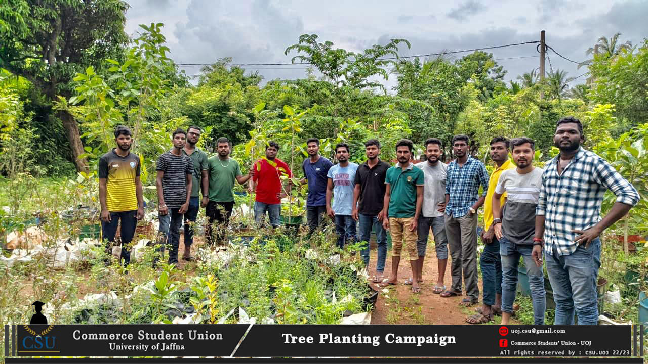 The Tree Planting Campaign – Department of Commerce